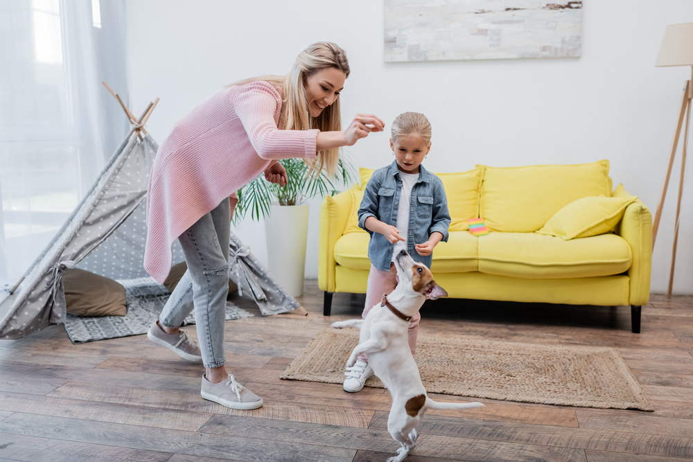 How to Get Kids Involved in Dog Training Using Positive Reinforcement ...