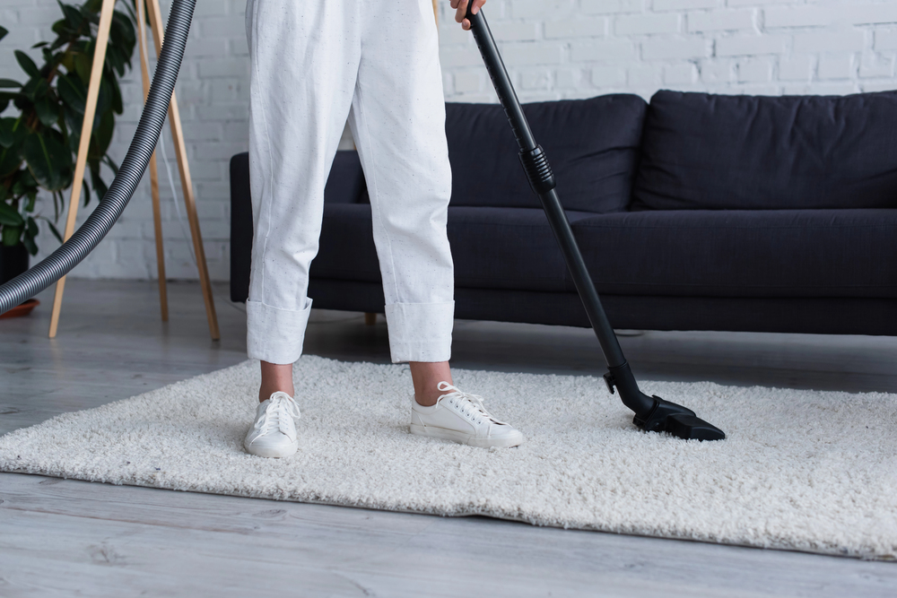 Effective Methods for Cleaning and Rejuvenating Rugs at Home - Geek Mamas