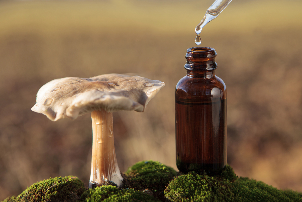 10 Mushroom Extract Benefits That Might Surprise You - Geek Mamas